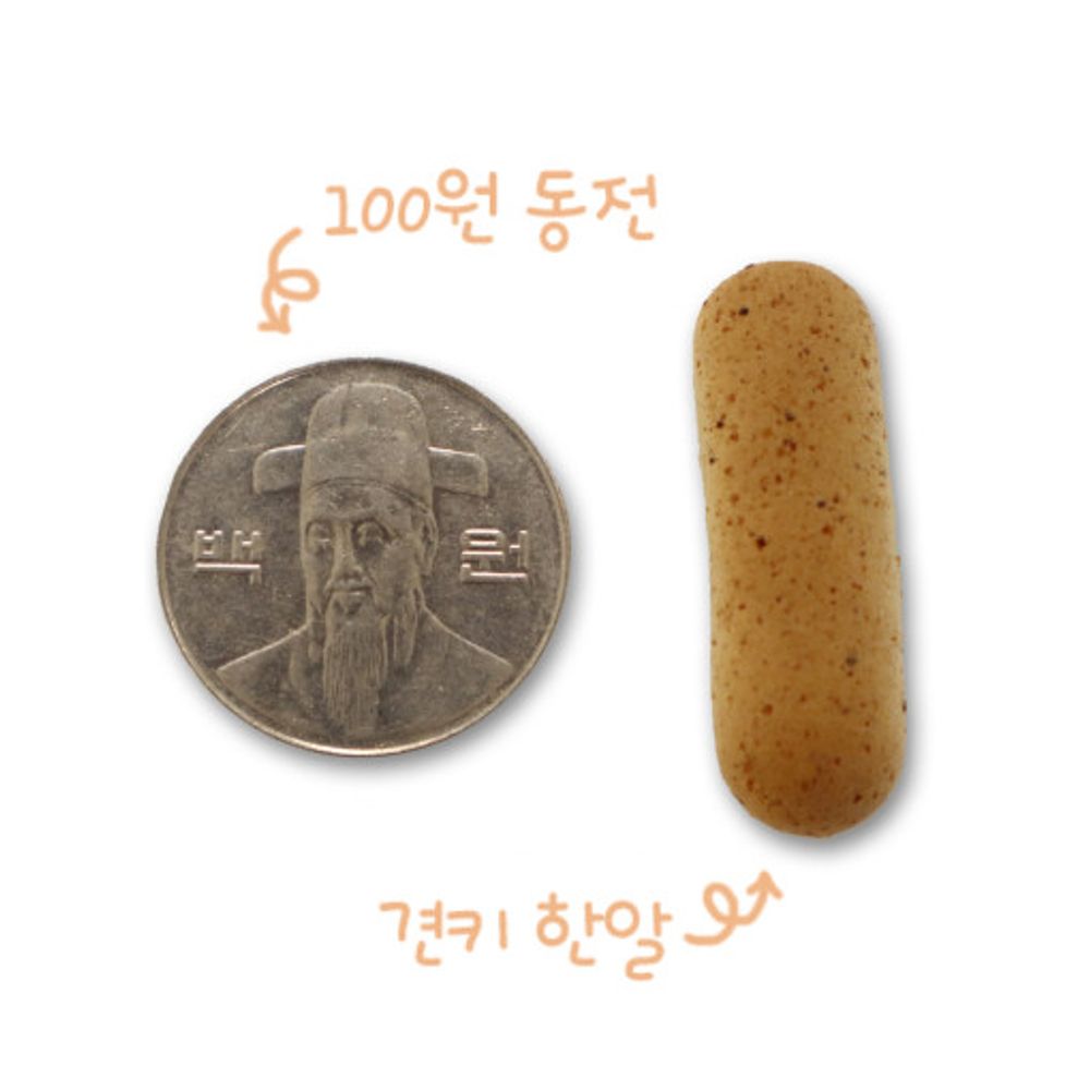 [Pet Smith] Dog Protein Biscuit 170g 1+1 (Extra 50g Insect Power)