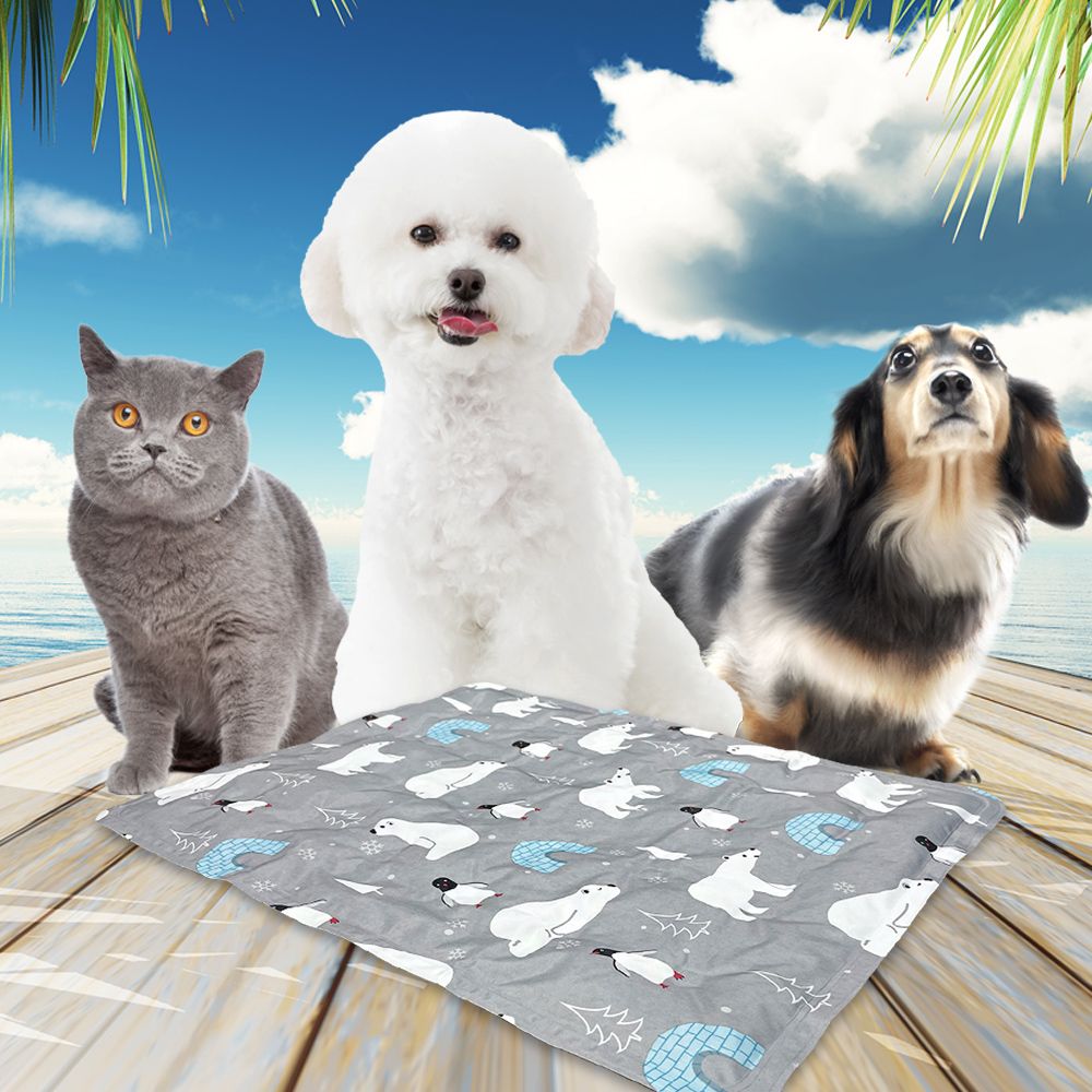 [VitaGRAM] Pet Cooling Mat for Dog Puppy Cat PT-CM1000
